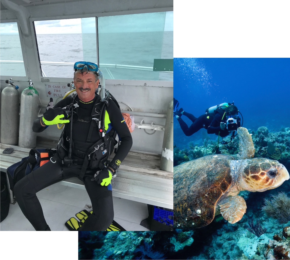 Robert Andrew Provan | Author. Storyteller. Ocean Lover.