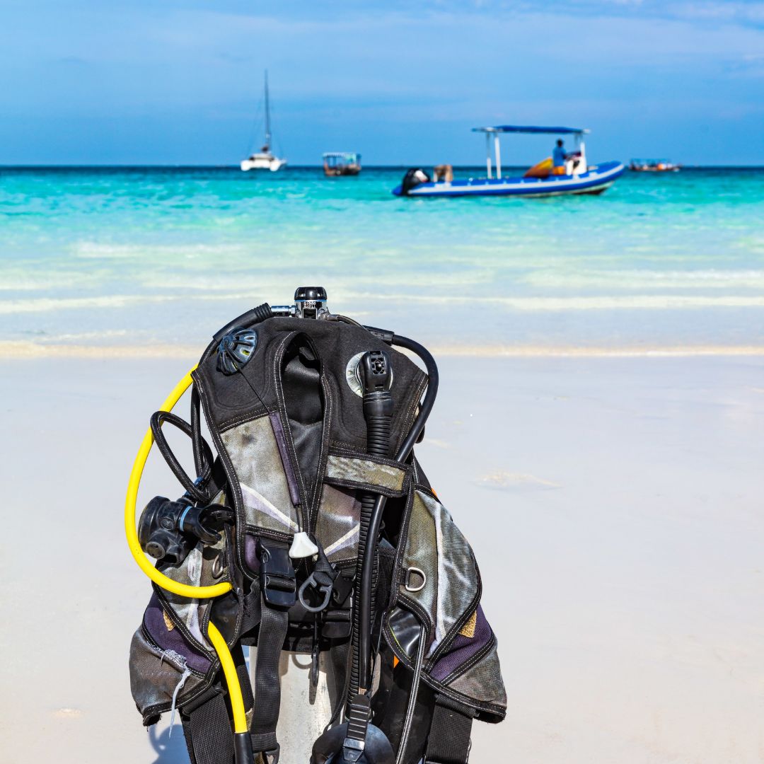 Diving the Dry Tortugas-Flashes of White - Robert Andrew Provan