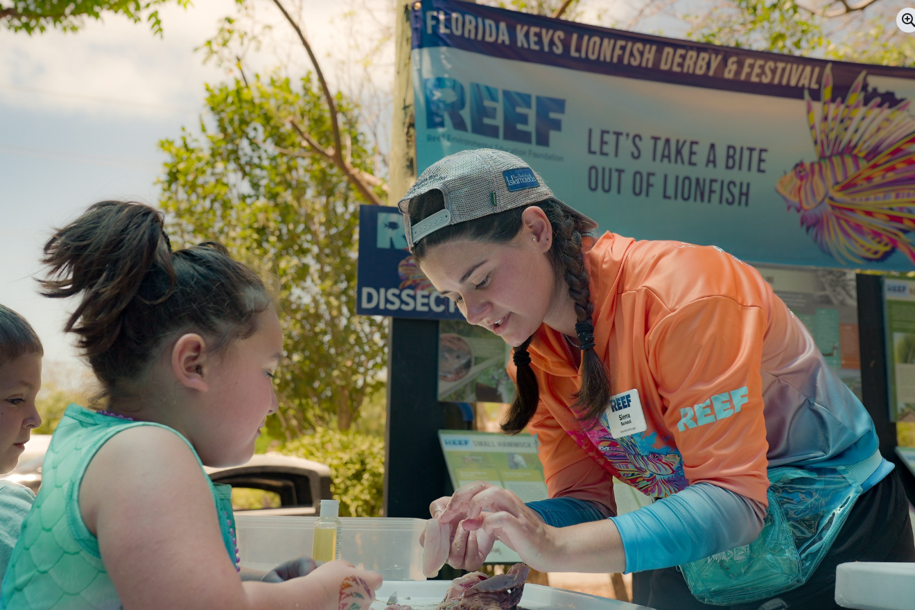 Reef Adventures & Ocean Connections: Highlights from the Lionfish Derby ...